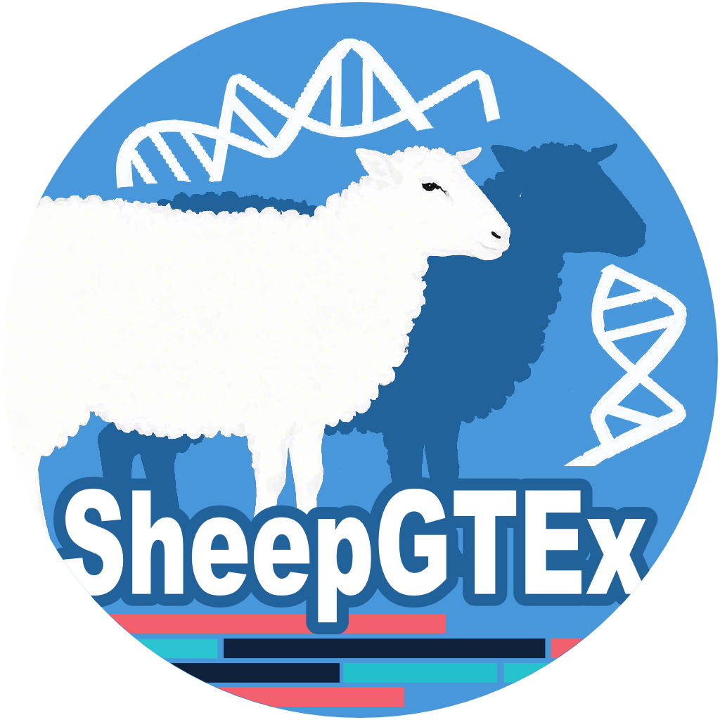Download - SheepGTEx